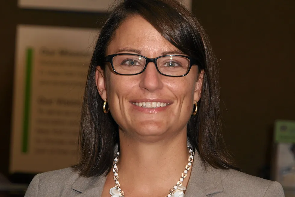 New York awards 2.3GW of solar and wind in bid to put state on 2030 clean energy target path ...