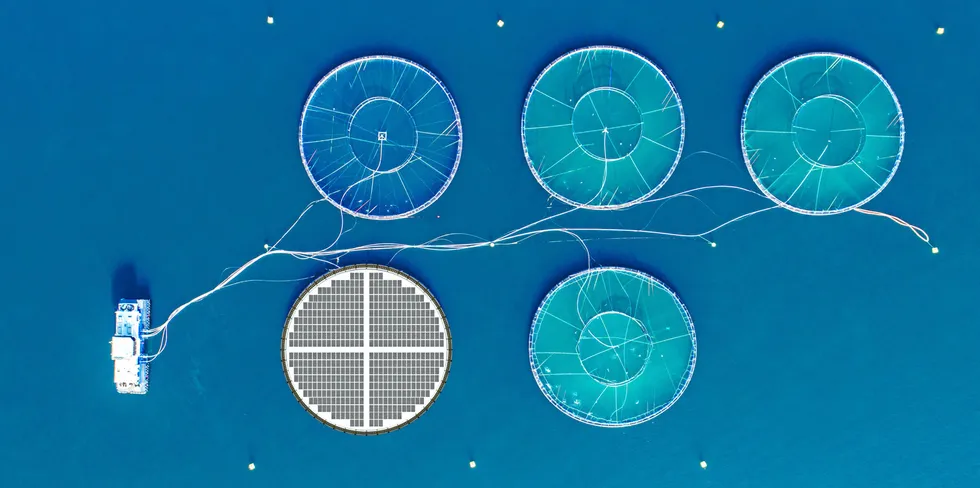 To gründerselskaper skal utvikle nullutslipps-system for torskeoppdrett