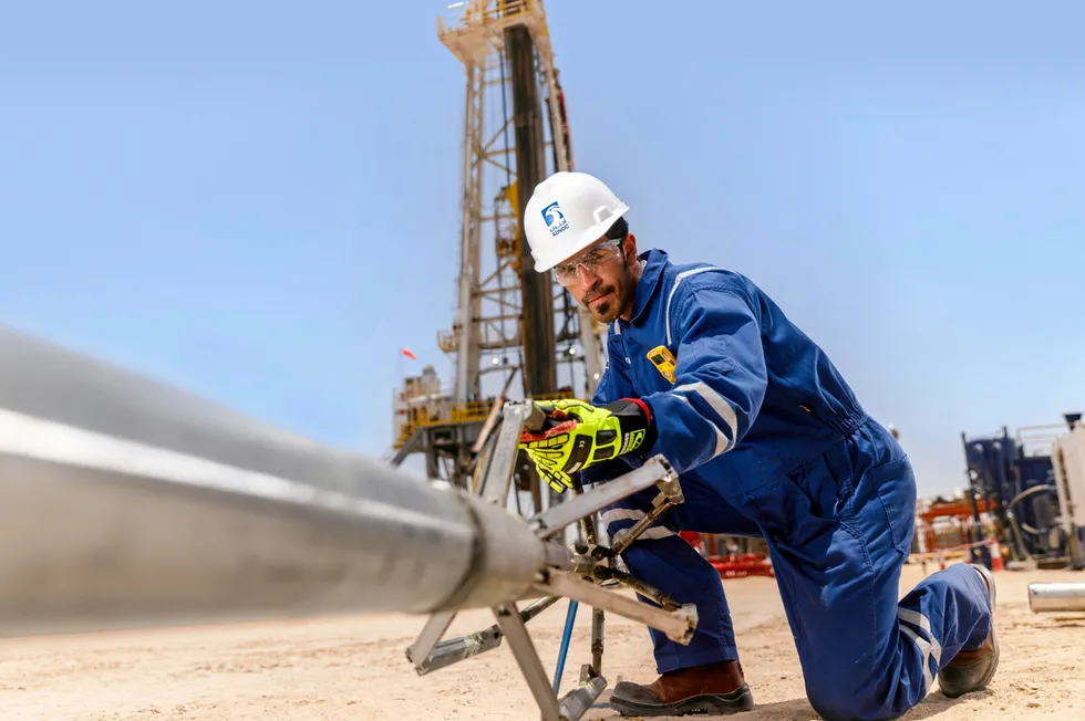 Adnoc launches bid process for strategic oilfield expansion deal | Upstream