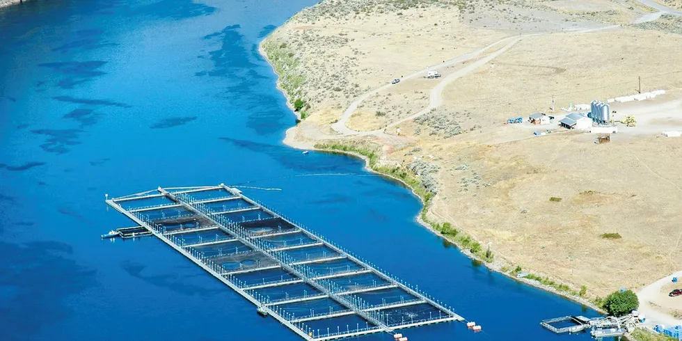 Pacific Seafood testing farmed rainbow trout raised on plant-based diet ...