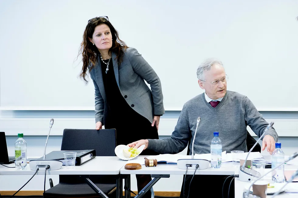 Man har regnet på noe ingen vil ha, og sier så at det er for dyrt | DN