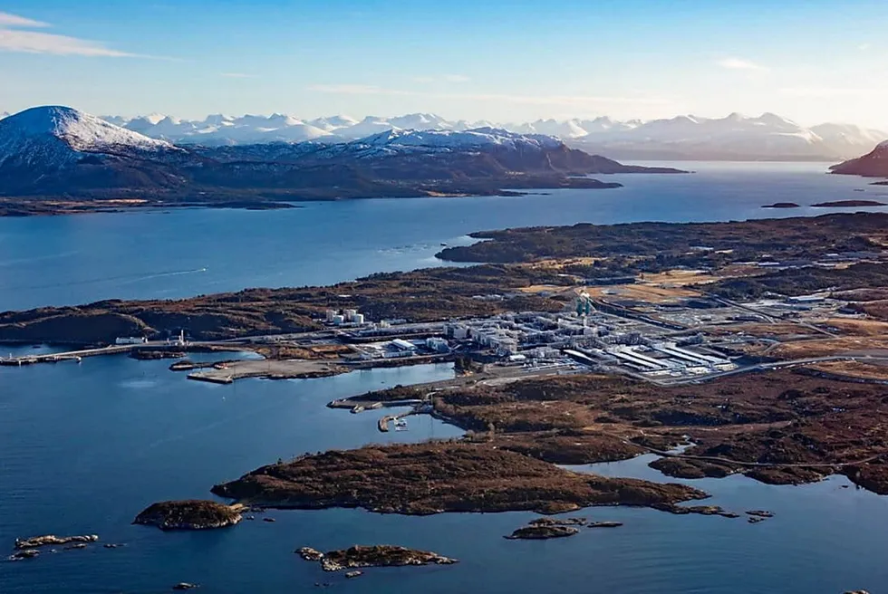 'Green hydrogen is clearly favoured' | Shell and partners cancel blue ...