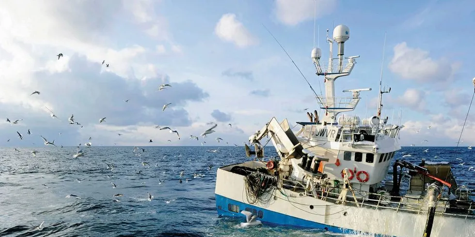 Prisutviklingen på kolmule | Fiskeribladet