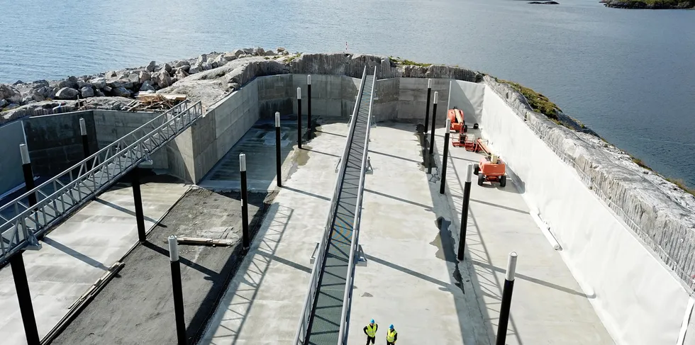 Dead fish numbers released after mortality incident at land-based ...