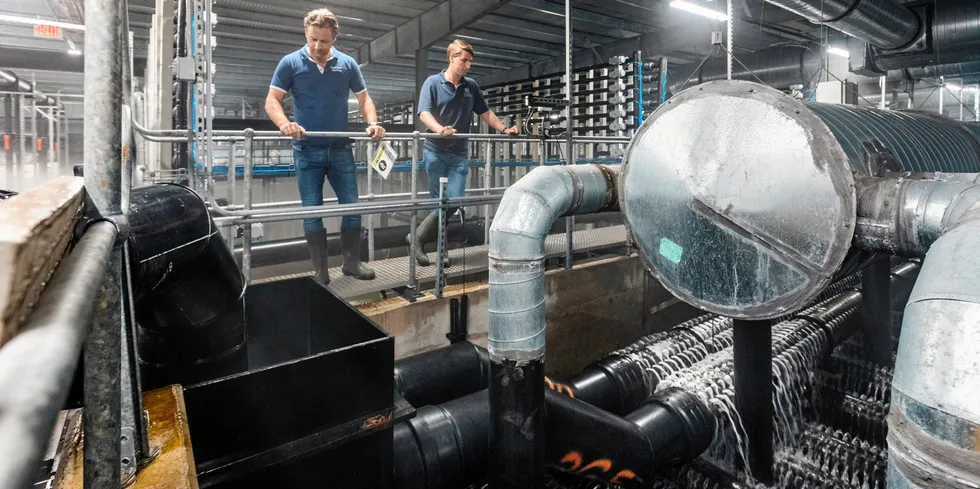 Here are the world's biggest land-based salmon farming projects | Intrafish