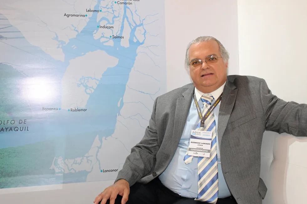 Ecuador shrimp giant Songa turns around exports en route to Russia ...