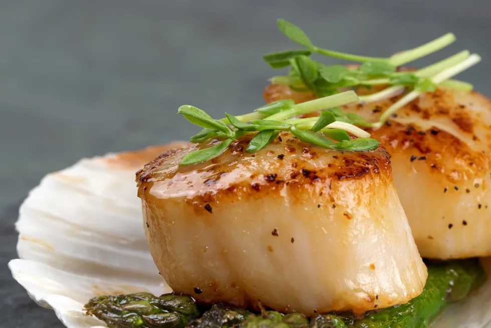 North American shellfish giant Atlantic Sustainable Catch names ...