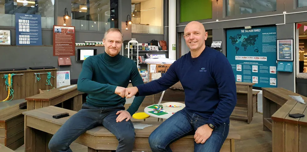 Virus på smolt og nedskriving påvirket Salten Aqua AS, men ett ...