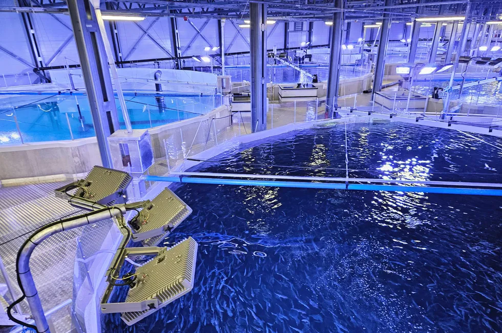 Can Mowi’s high-tech investments change minds about salmon farming ...