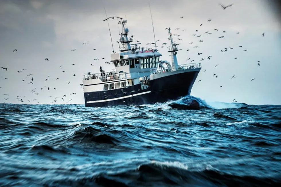 Russia raises 2025 pollock quota 7% over 2024 level | Intrafish