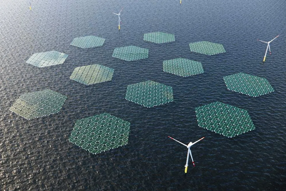 Norsk-hollandsk selskap skal bygge verdens største flytende ...