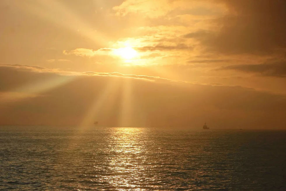 Beacon signs export agreement for Shenandoah field in US Gulf of Mexico ...
