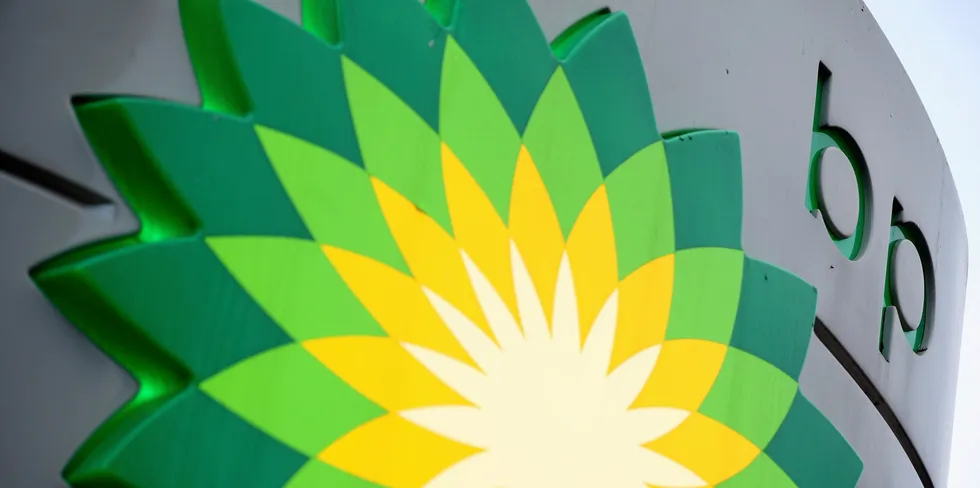 BP's 'high complexity' challenge at Asian Renewable Energy Hub green ...