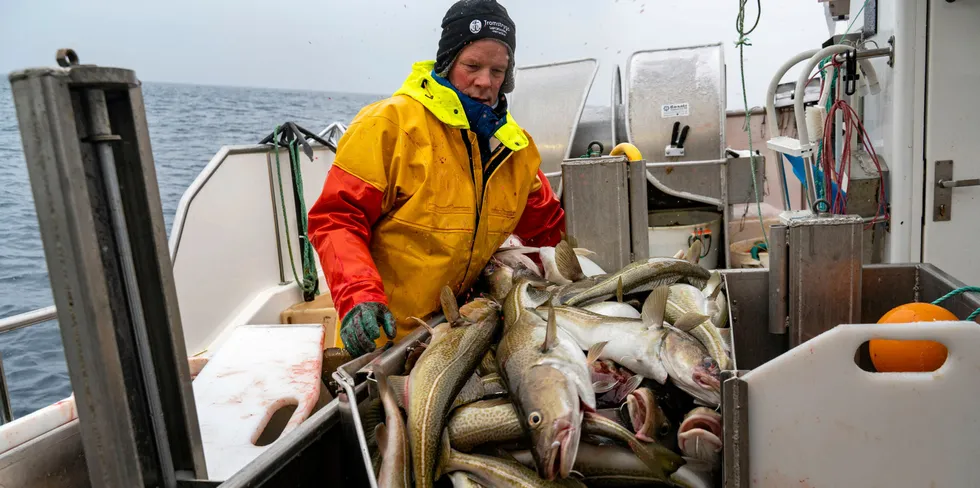 'Even gloomier than expected': Norwegian fishermen fear the decline in ...