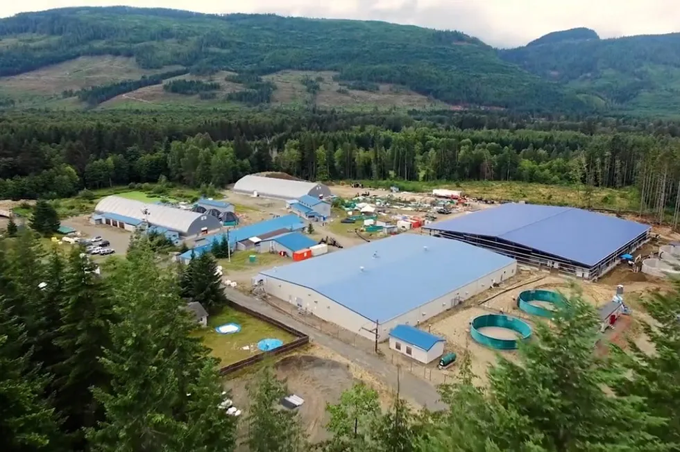 Mowi: Canada's transition to fully land-based salmon farming not ...