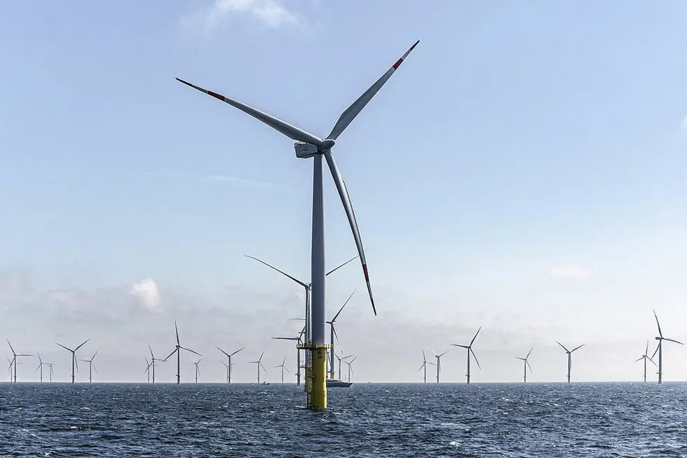 Existing German offshore wind farm to supply power for green hydrogen ...