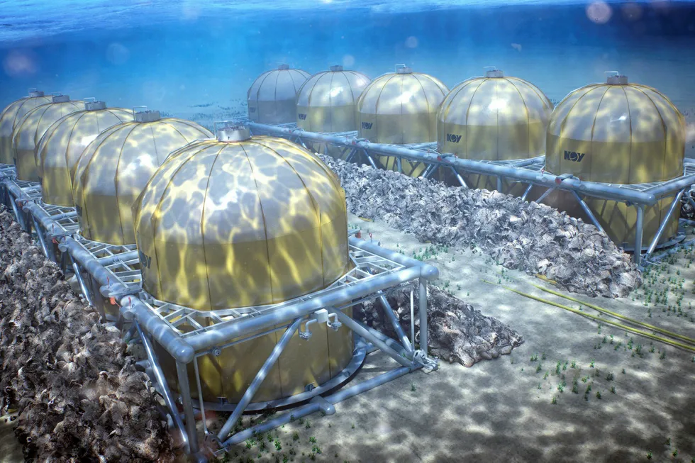 NOV takes to the floor for subsea storage | Upstream