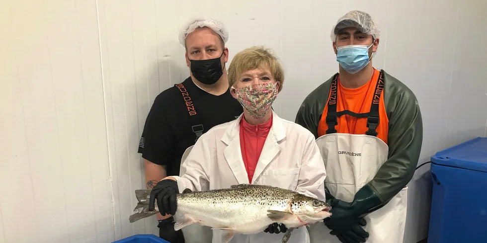 AquaBounty begins first commercial harvest of genetically modified ...