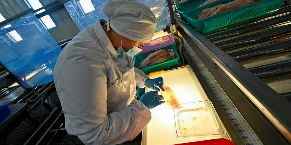 Whitefish giant Russian Fishery reaps rising value from static supplies ...