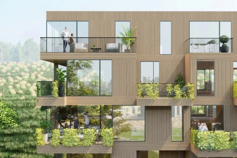 Utbygger ble begjært konkurs: – Arkitektene har i realitet fungert som ...
