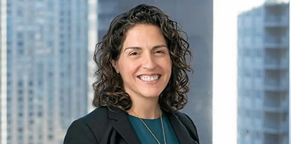 RWE hires Joe Biden's offshore wind pioneer Amanda Lefton to lead US ...