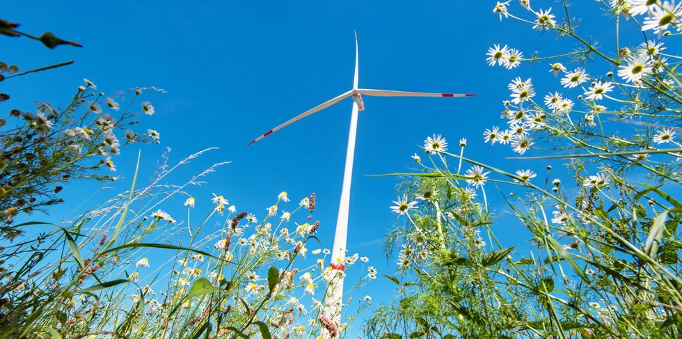 GE takes wraps off biggest-ever onshore wind turbine with 6MW Cypress ...