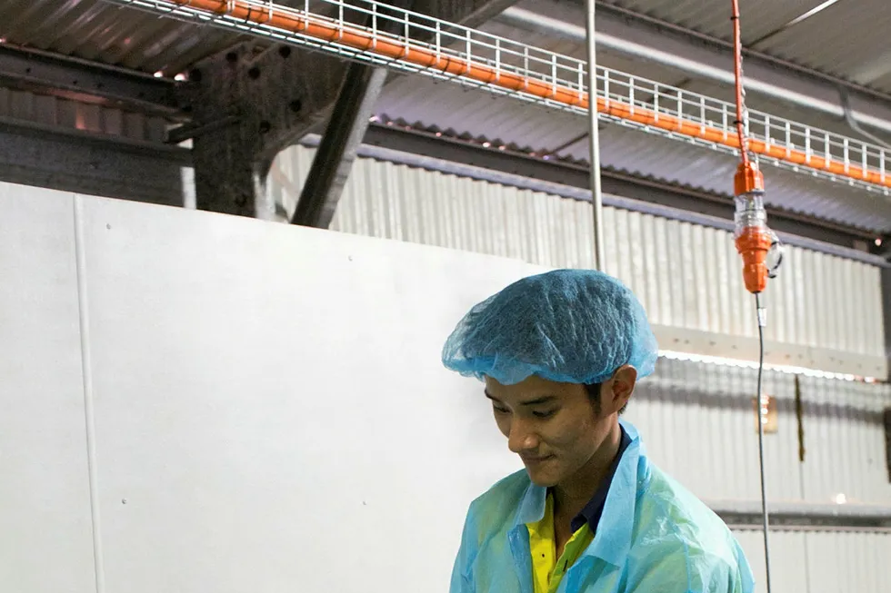 Nissui-backed Project Sea Dragon opens headquarters | Intrafish