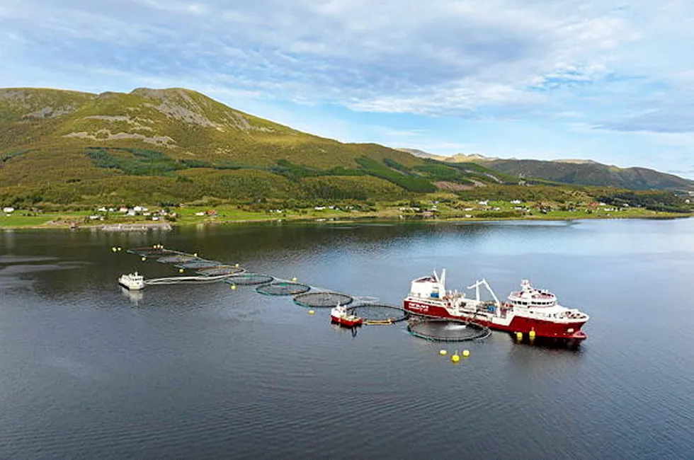 Authorities probe suspected disease outbreak at Norwegian salmon farm ...