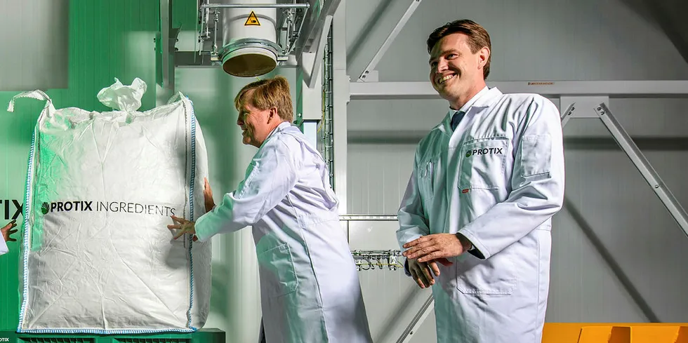 Protix, Skretting see insect meal expanding into shrimp, tilapia ...