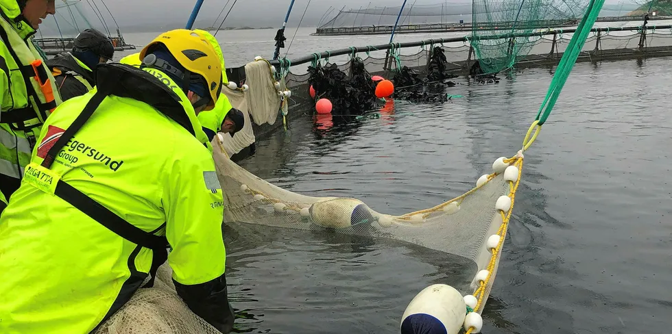 Norwegian aquaculture supplier acquires automatic fish feeding company ...