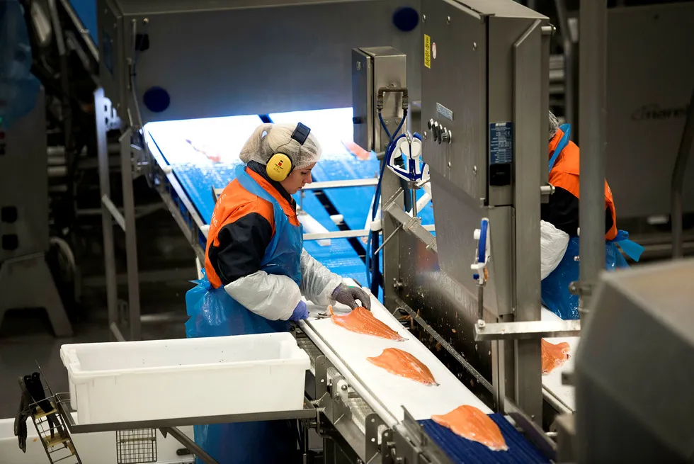 Børsoppgang etter ﻿ knalltall ﻿ for Marine Harvest | DN