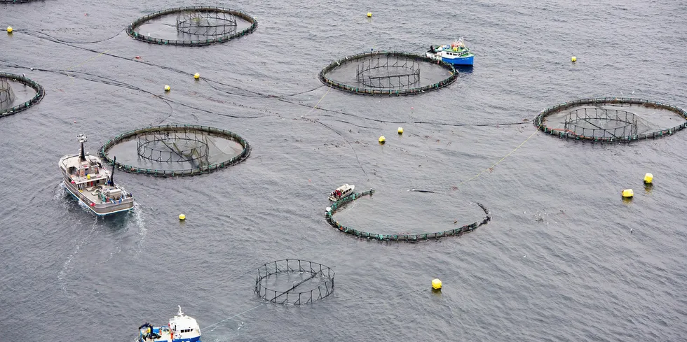 Mowi Canda West suffers strong fish escape due to fire incident | Intrafish