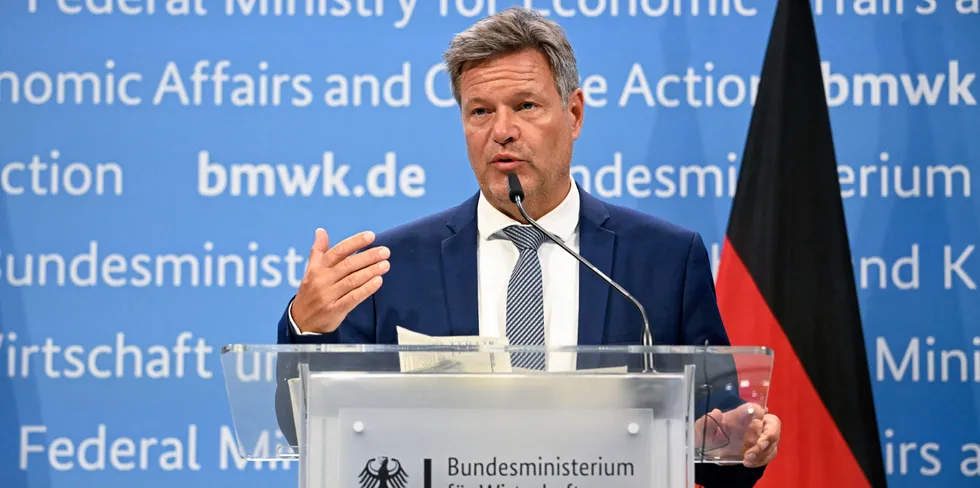 German vice chancellor worried that wind turbine production 'cannot ...