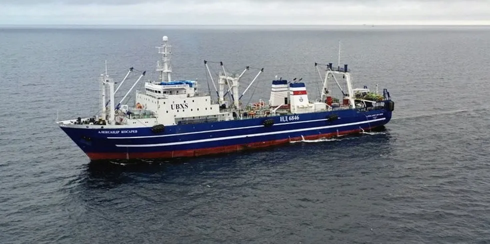 Following in Russian Fishery's footsteps, Gidrostroy begins pollock ...