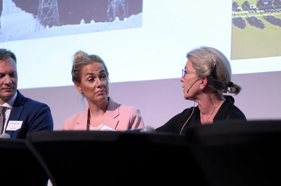 Ensom kjernekraft-tilhenger i vindkraftstormen: – Vindkraften klarte ...