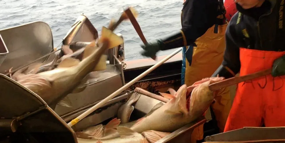 Russia’s longliners chase Marine Stewardship Council certification for ...