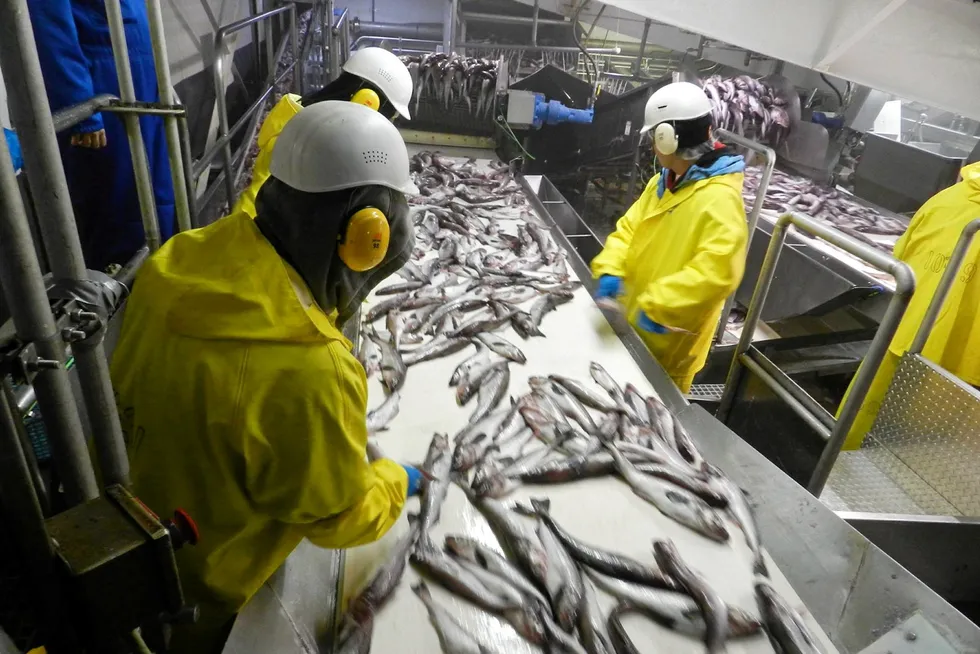 'The world markets for Russian-caught seafood are shrinking fast:' Why ...