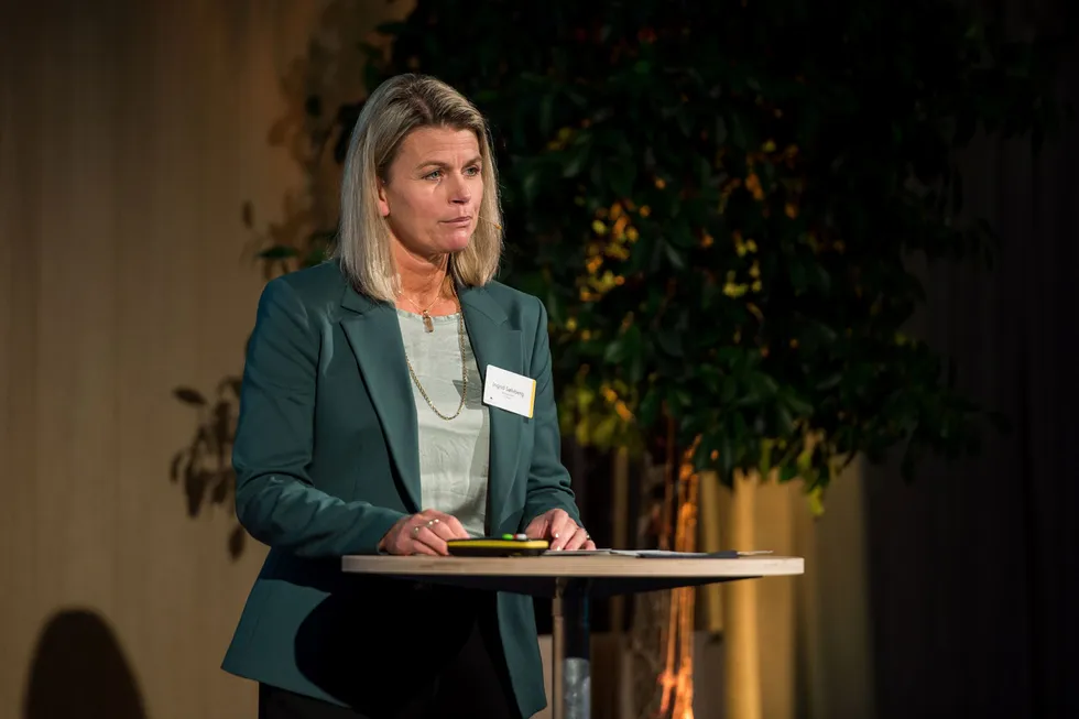 Vår Energi henter oljedirektør Ingrid Sølvberg og enda en Equinor-topp ...