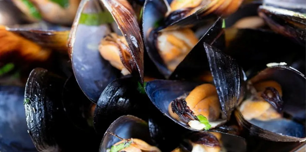 Australia's Yumbah Aquaculture swoops to acquire shellfish rival ...