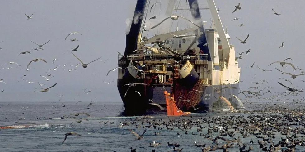 Russian regulator touts new Bering Sea fishing zone, potentially ...