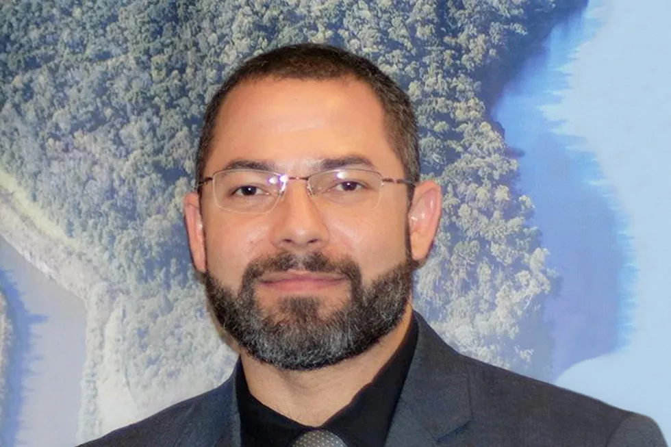 INTERVIEW | 'Brazil can be a global leader in green hydrogen, but we ...