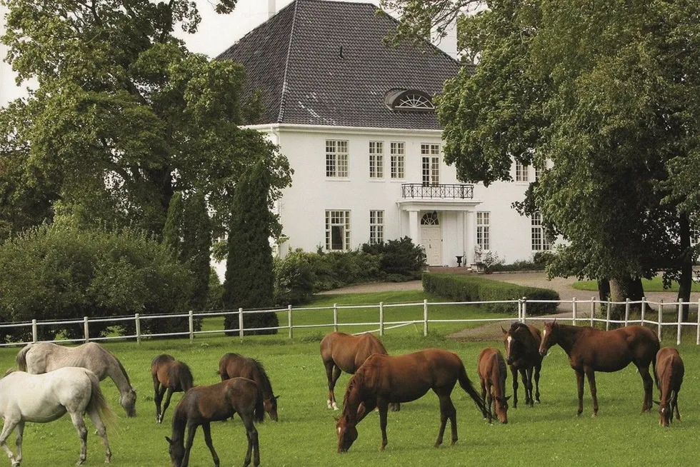Semb Hovedgård i Horten er solgt | DN