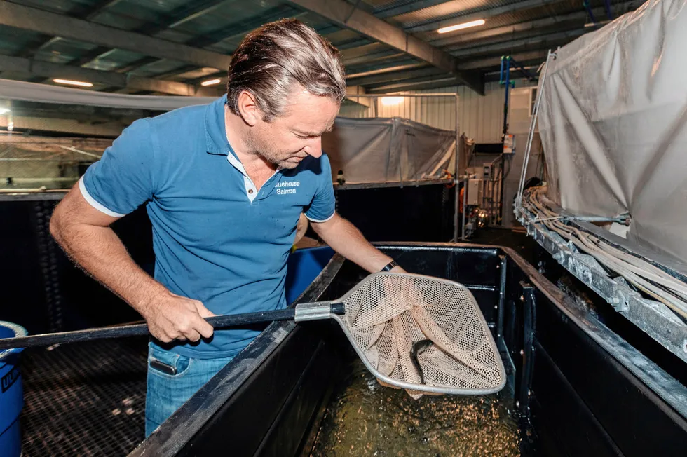 'Too many fish in the tanks': Overcrowding drags on harvest weight ...