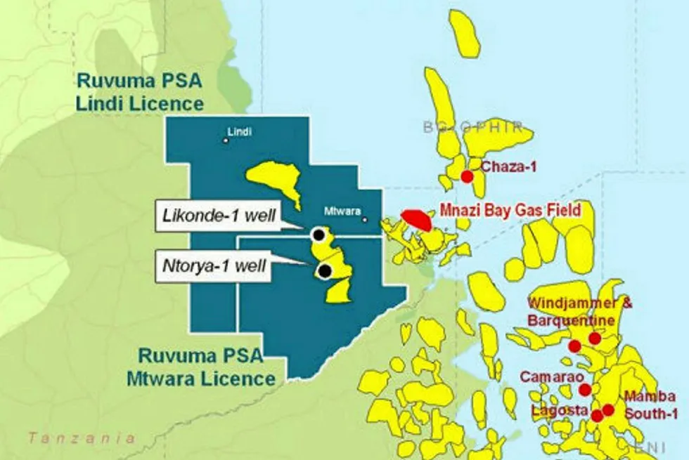 Ruvuma partners agree 2020 work programme in Tanzania | Upstream