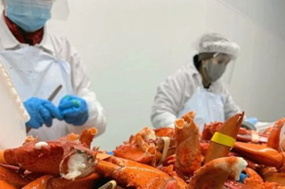 Luke's Lobster to take over lobster processing for Inland Foods | Intrafish