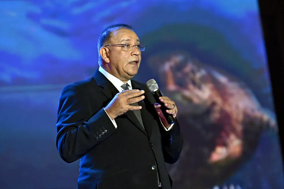 Offshore yards in Asia on standby as giant Malaysian gas project ...