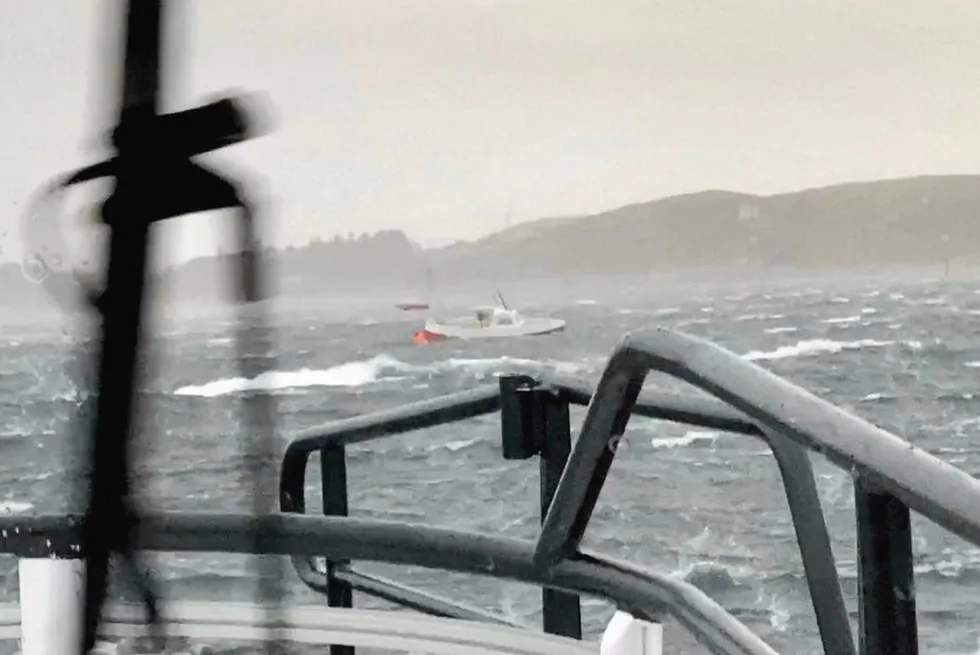 Salmon escapes suspected following storms | Intrafish