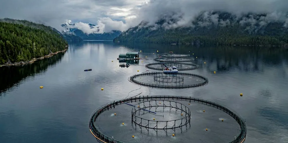 Grieg Seafood BC gains Aquaculture Stewardship Council certification ...