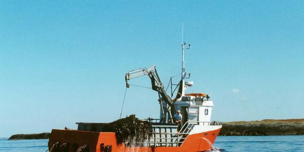 Taretråling - den usynlige industrien | Fiskeribladet