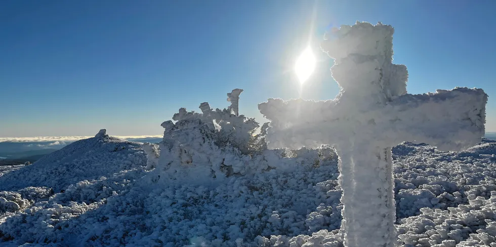 Kulda kommer tilbake – prisene stiger inntil 40 prosent